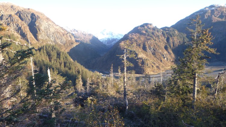 Ground Truth Alaska