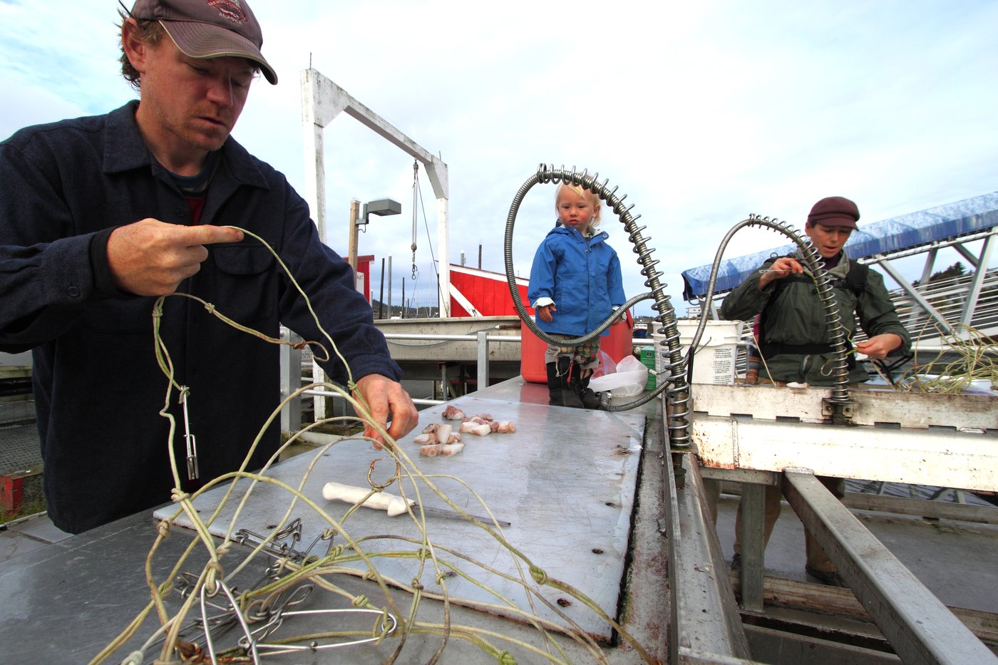 Herring Fishery in Alaska | Ground Truth Alaska
