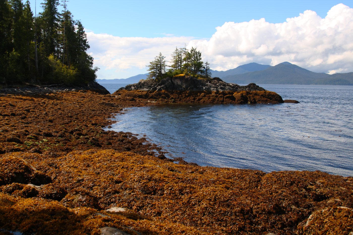 Northern Gateway Oil Pipeline Project (Canada) | Ground Truth Alaska