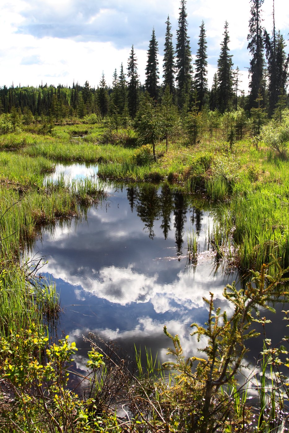 Opposition to Coal in Alaska | Ground Truth Alaska