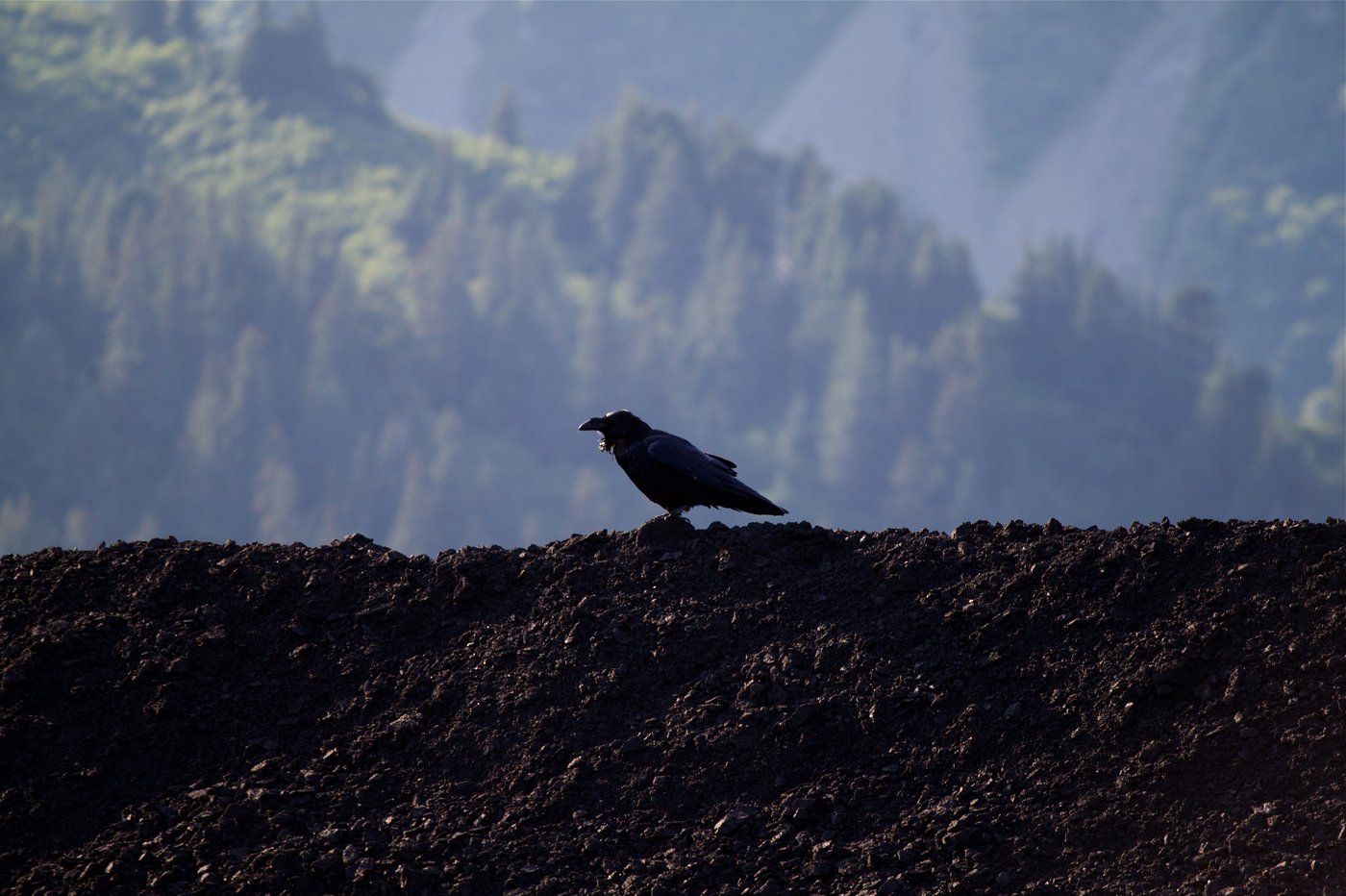 Peak Coal | Ground Truth Alaska