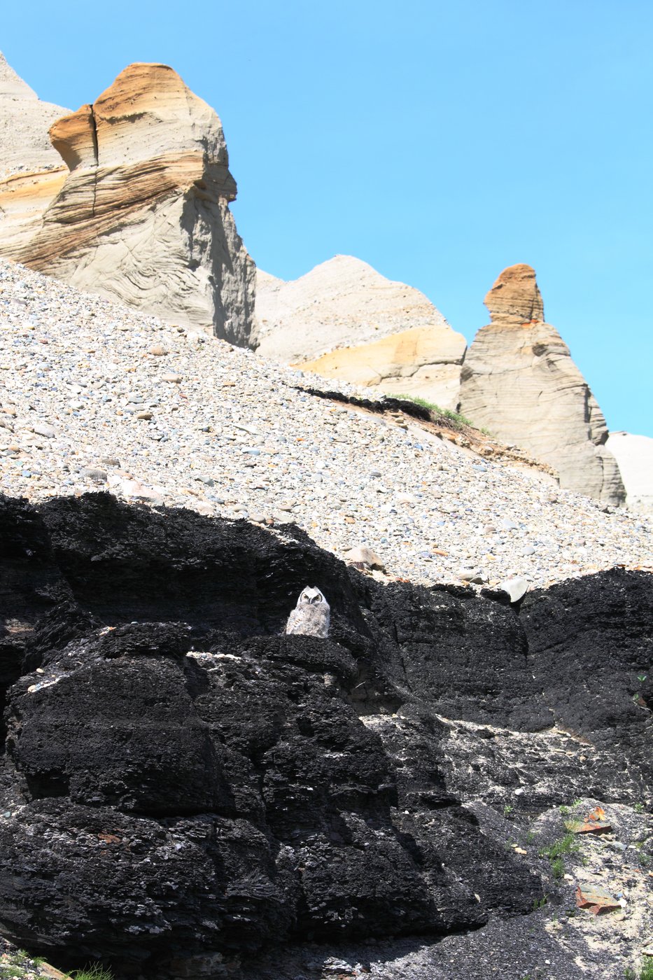 Healy Coal-to-Liquids (CTL) | Ground Truth Alaska