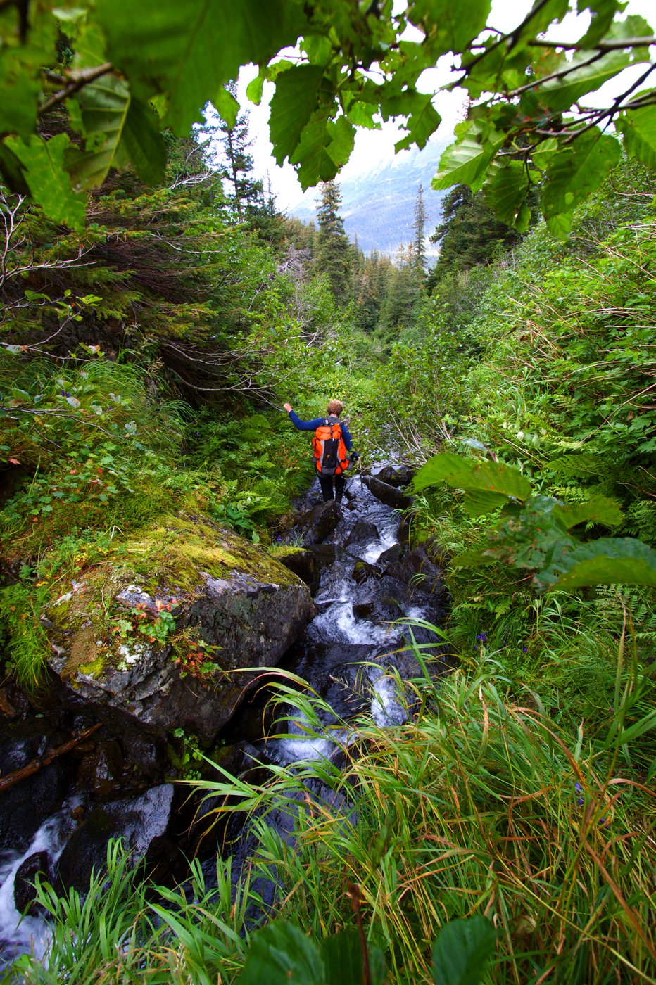 Ground Truth Trekking Journeys | Ground Truth Alaska
