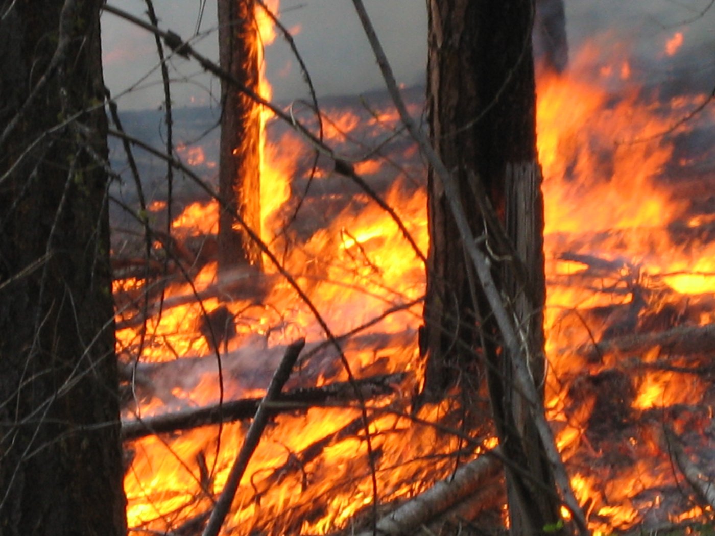Wildfire in Alaska | Ground Truth Alaska