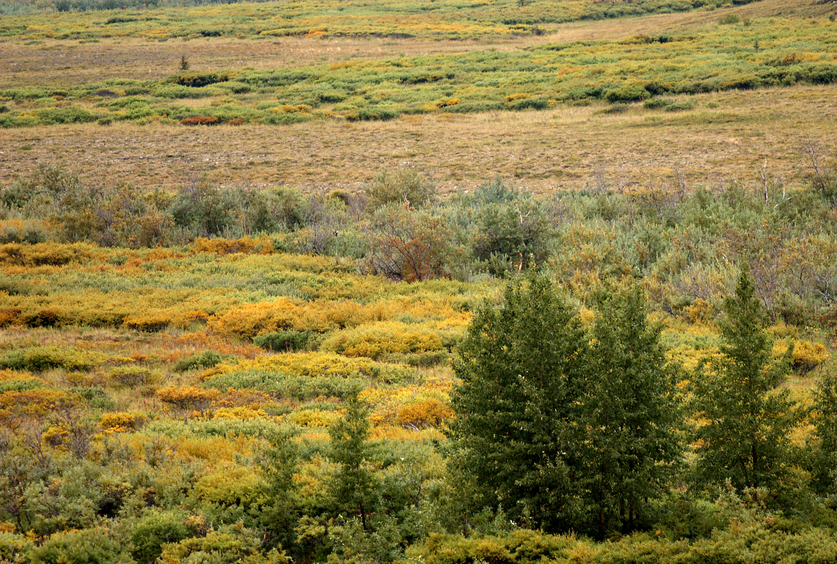 Ground Truth Alaska