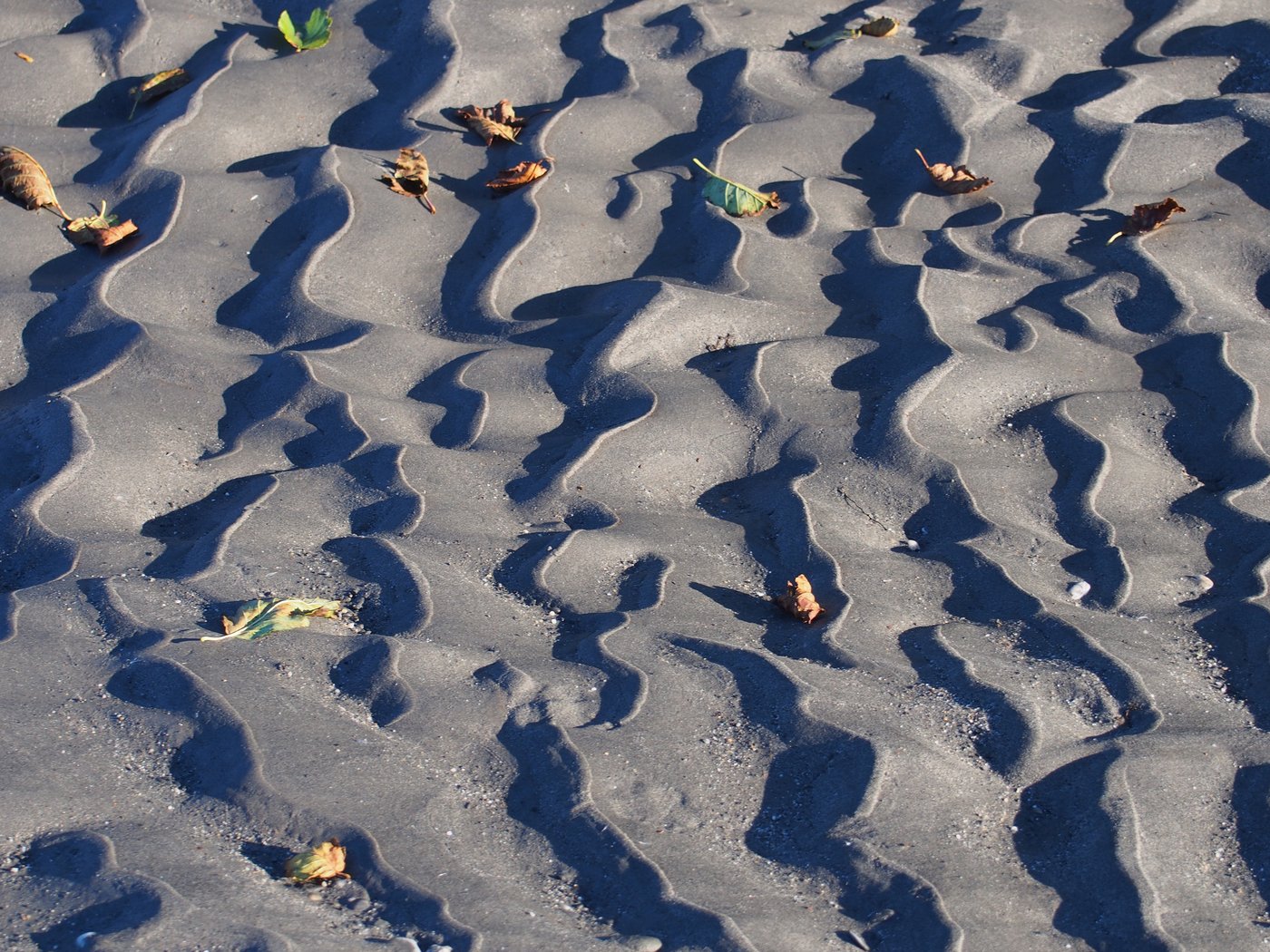 Susitna Leg 3: To the Sea | Ground Truth Alaska