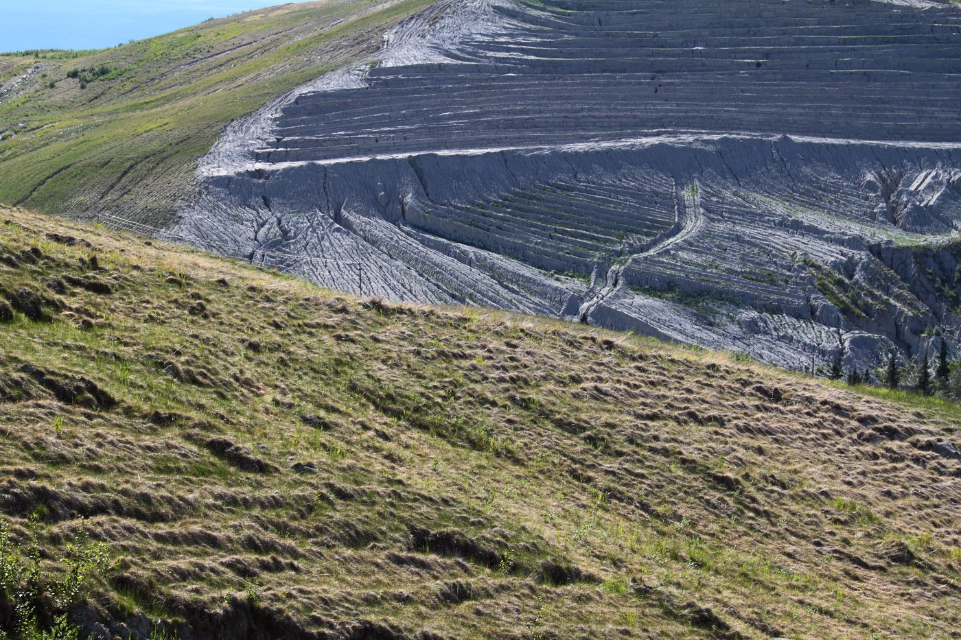 Coal Mine Reclamation | Ground Truth Alaska