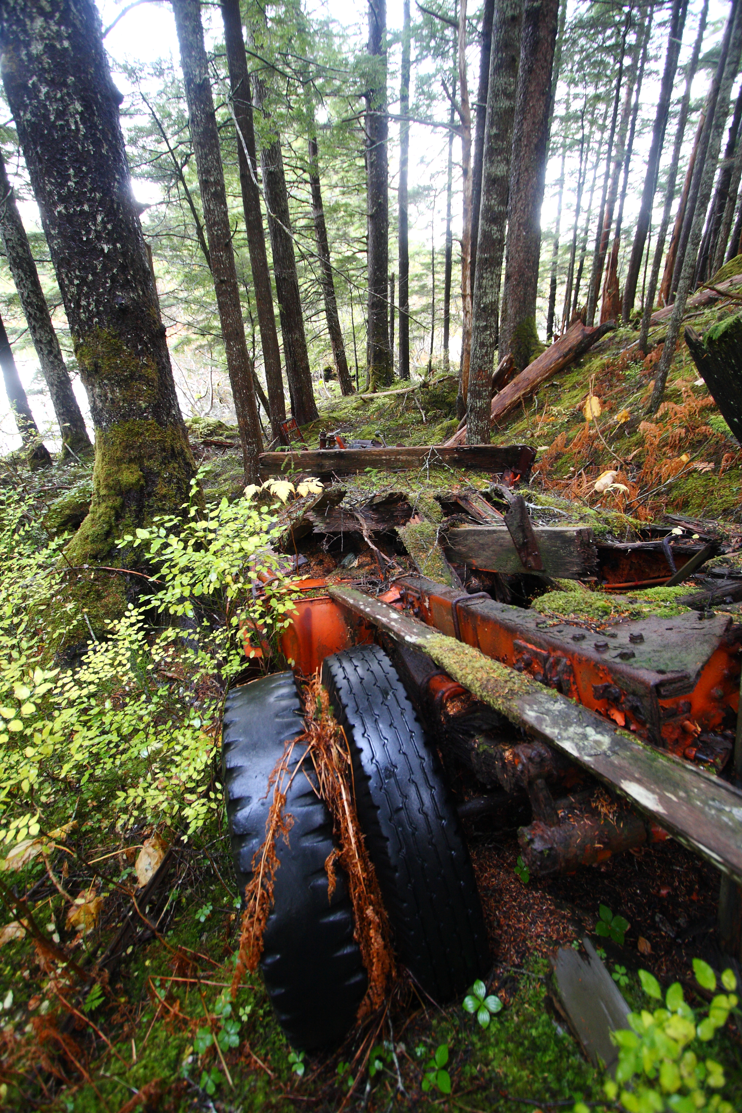 Ground Truth Alaska
