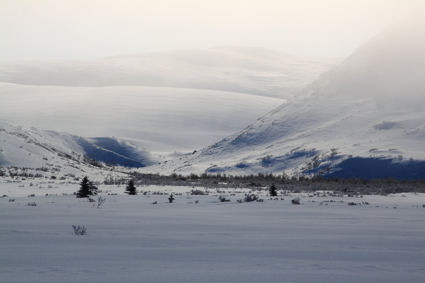 Pebble Mine (Copper/Gold Prospect) | Ground Truth Alaska