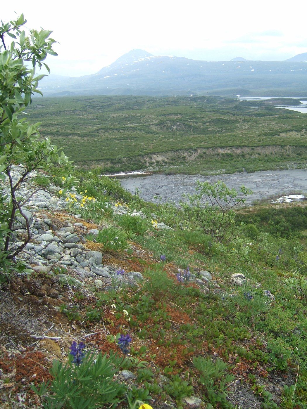 Tangle Lakes/MAN Prospect | Ground Truth Alaska