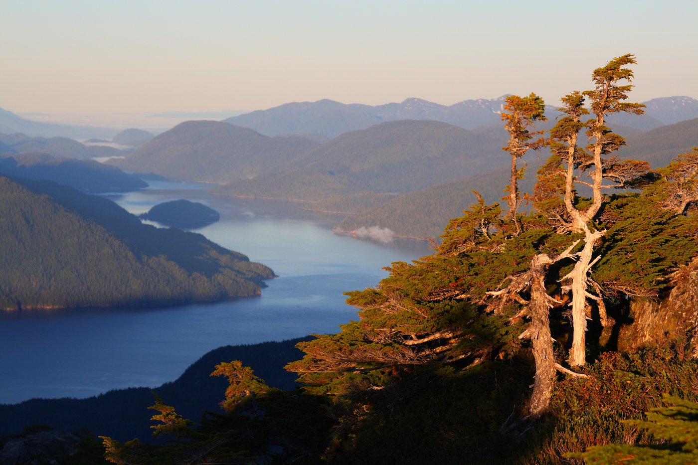 Logging on the Tongass National Forest | Ground Truth Alaska