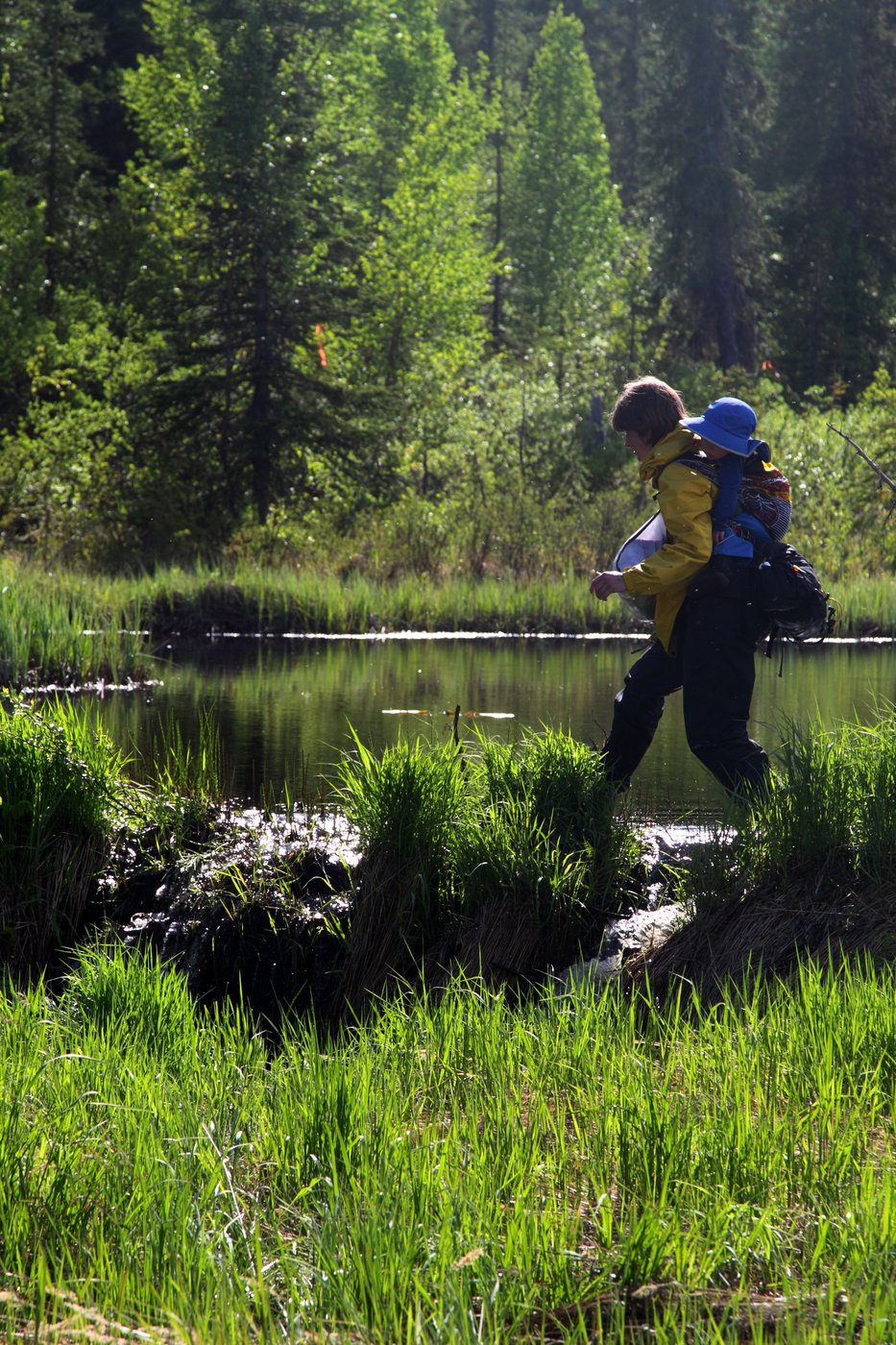 Ground Truth Trekking Journeys | Ground Truth Alaska