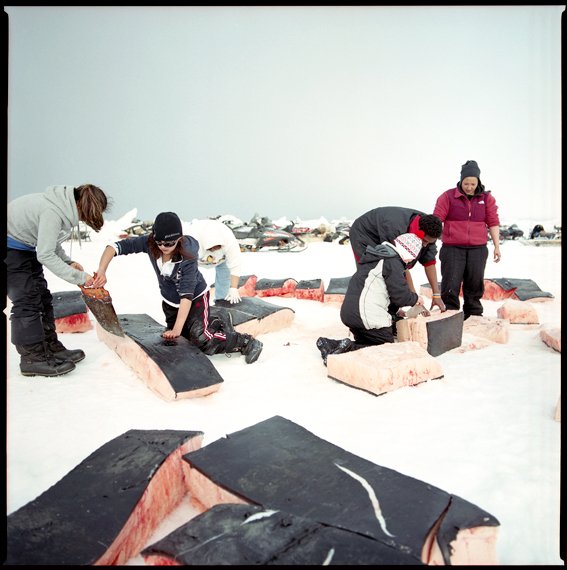 Subsistence | Ground Truth Alaska